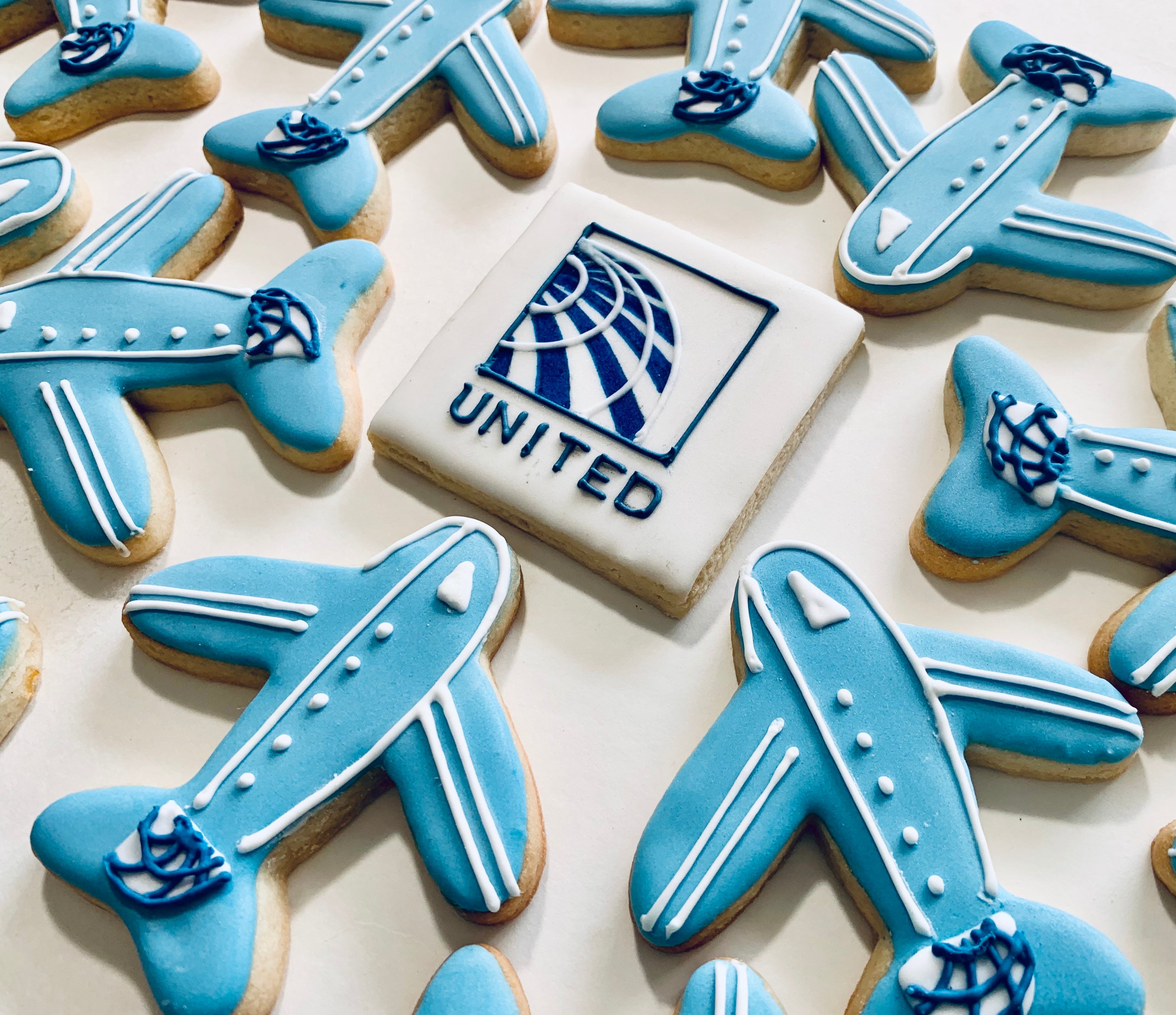 Aviation Airplane Sugar Cookies Pilot Gift Baby Shower - Etsy