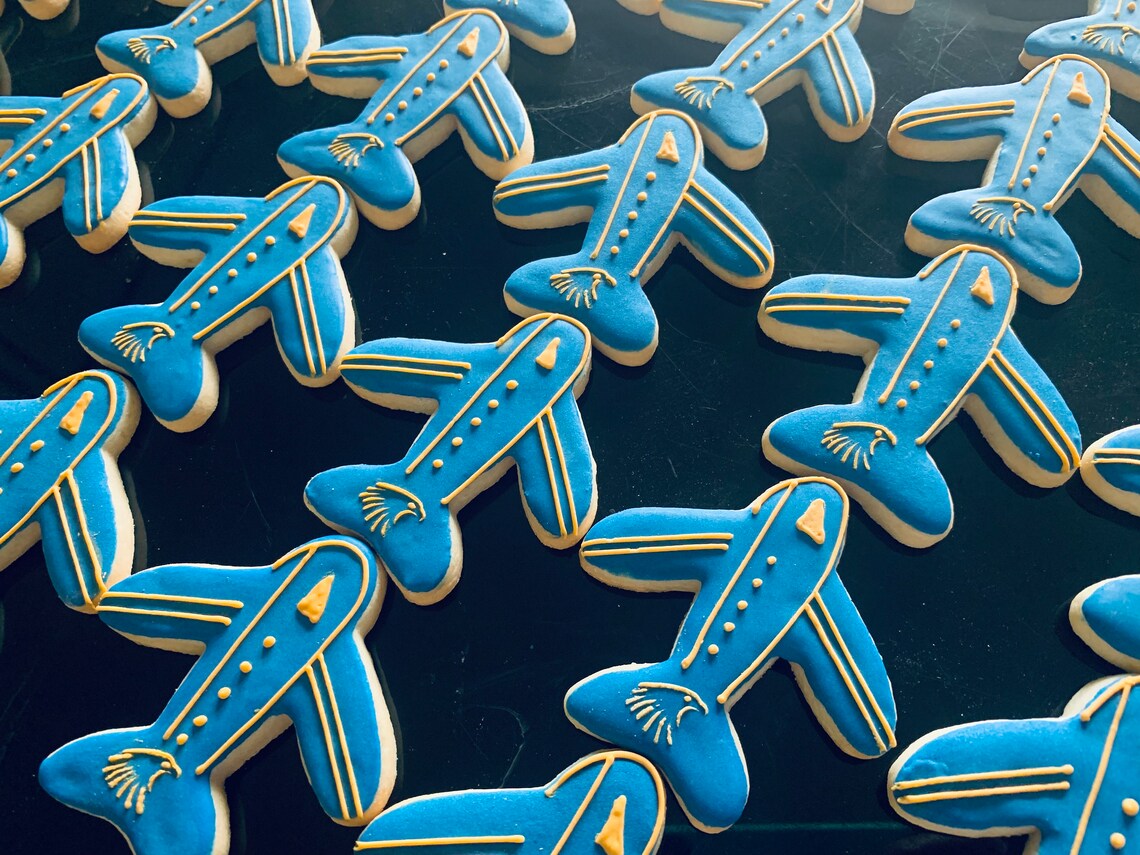 Aviation Airplane Sugar Cookies Pilot Gift Baby Shower - Etsy