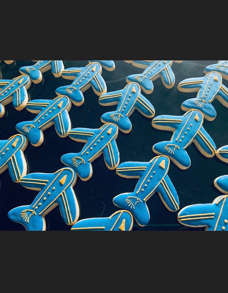 Aviation, Airplane Sugar Cookies, Pilot Gift, Baby Shower, Airplane ...