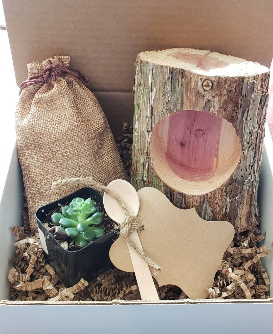 Reclaimed Cedar Log Planter Succulent Kit Rustic Wooden Pot Gift Idea ...