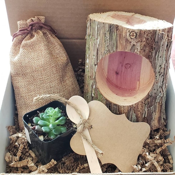 Rustic Cedar Log Planter - Etsy