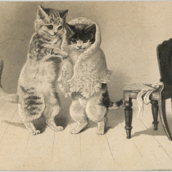 Helena Maguire Cats - Etsy