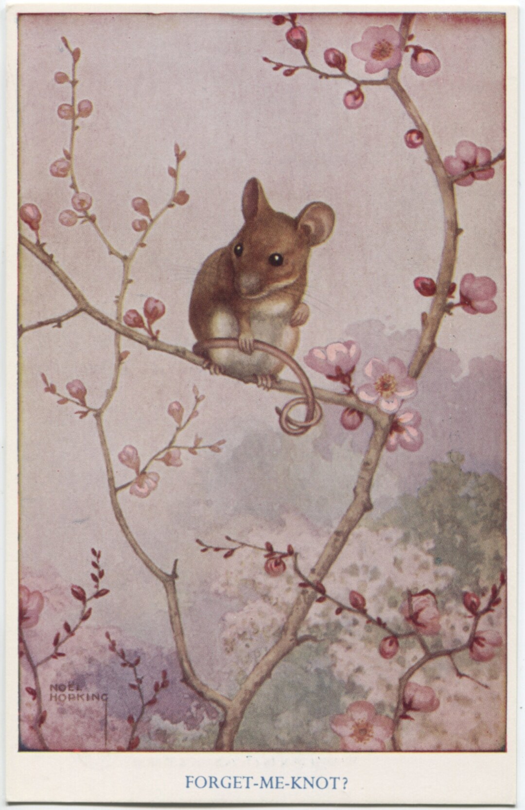 Forget-me-knot, Vintage Noël Hopking Postcard, Mouse in a Blossom Tree ...