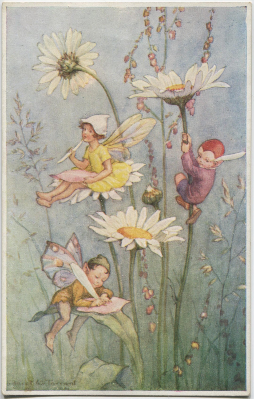 Vintage Fairy Postcard, Pixie Letter, Margaret Tarrant, Daisies ...