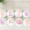 Drawer Knobs, Safari Knobs, Animal Knobs, Door Knobs, Drawer Pulls, Safari Room, Safari Animal ...