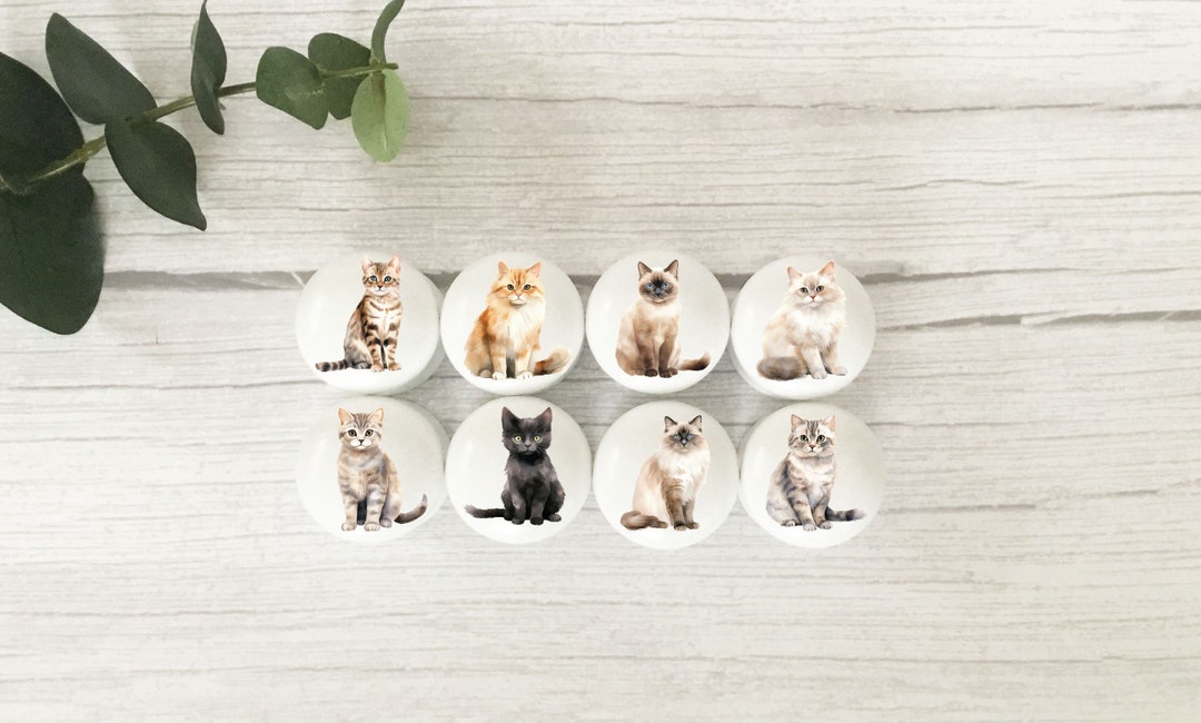 Drawer Knobs, Cat Knobs, Cat Pulls, Door Knobs, Drawer Handles, Cat ...
