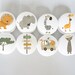 Drawer Knobs, Safari Knobs, Animal Knobs, Door Knobs, Drawer Pulls, Safari Room, Safari Animal ...