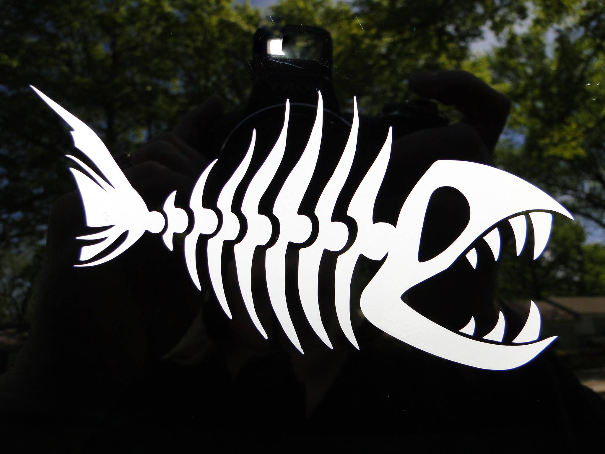 Bone fish skeleton DECAL for car truck window boat kayak mug | Etsy