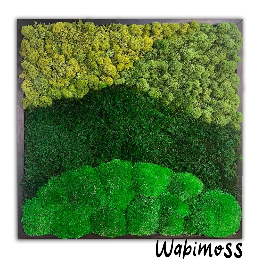 Modern Wave Design #4 Moss Wall Art. Real Preserved Zero-care Green ...