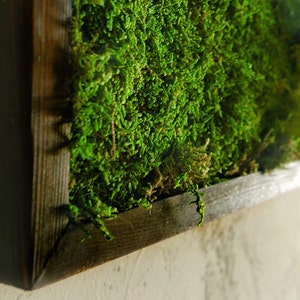 Moss Wall Art Collage. (1) 18x18" (1) 18x15" and (2) 18x36" Moss Art ...