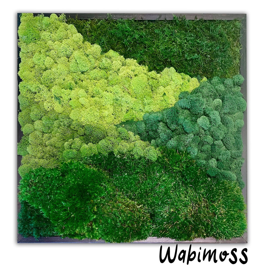 Modern Wave Design #2 Moss Wall Art. Real Preserved Zero-care Green ...