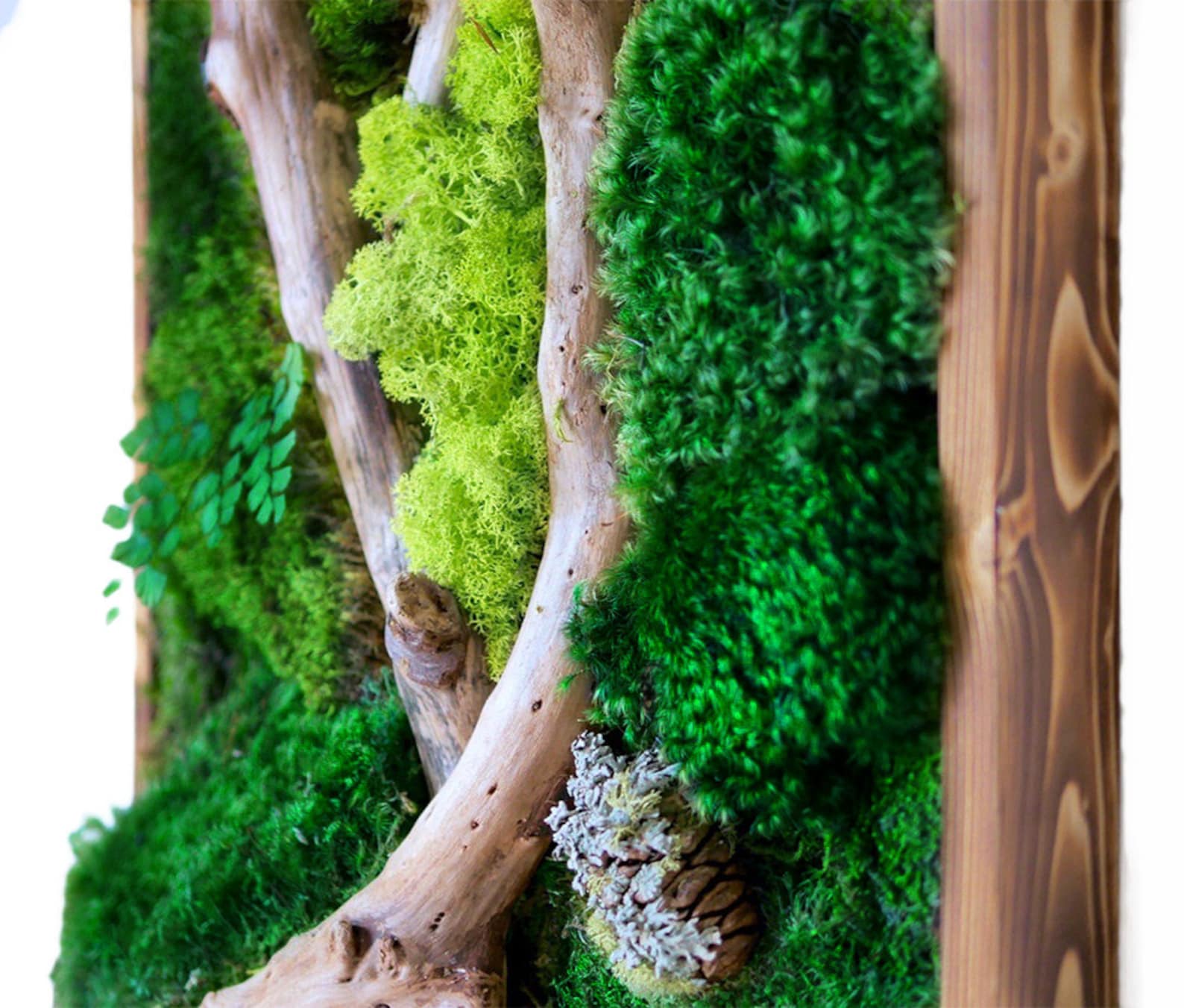 Moss Wall Art Collage. 1 18x18 1 18x15 and 2 - Etsy