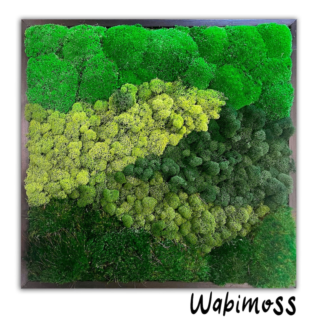 Modern Wave Design #5 Moss Wall Art. Real Preserved Zero-care Green Wall. Real Preserved Moss ...