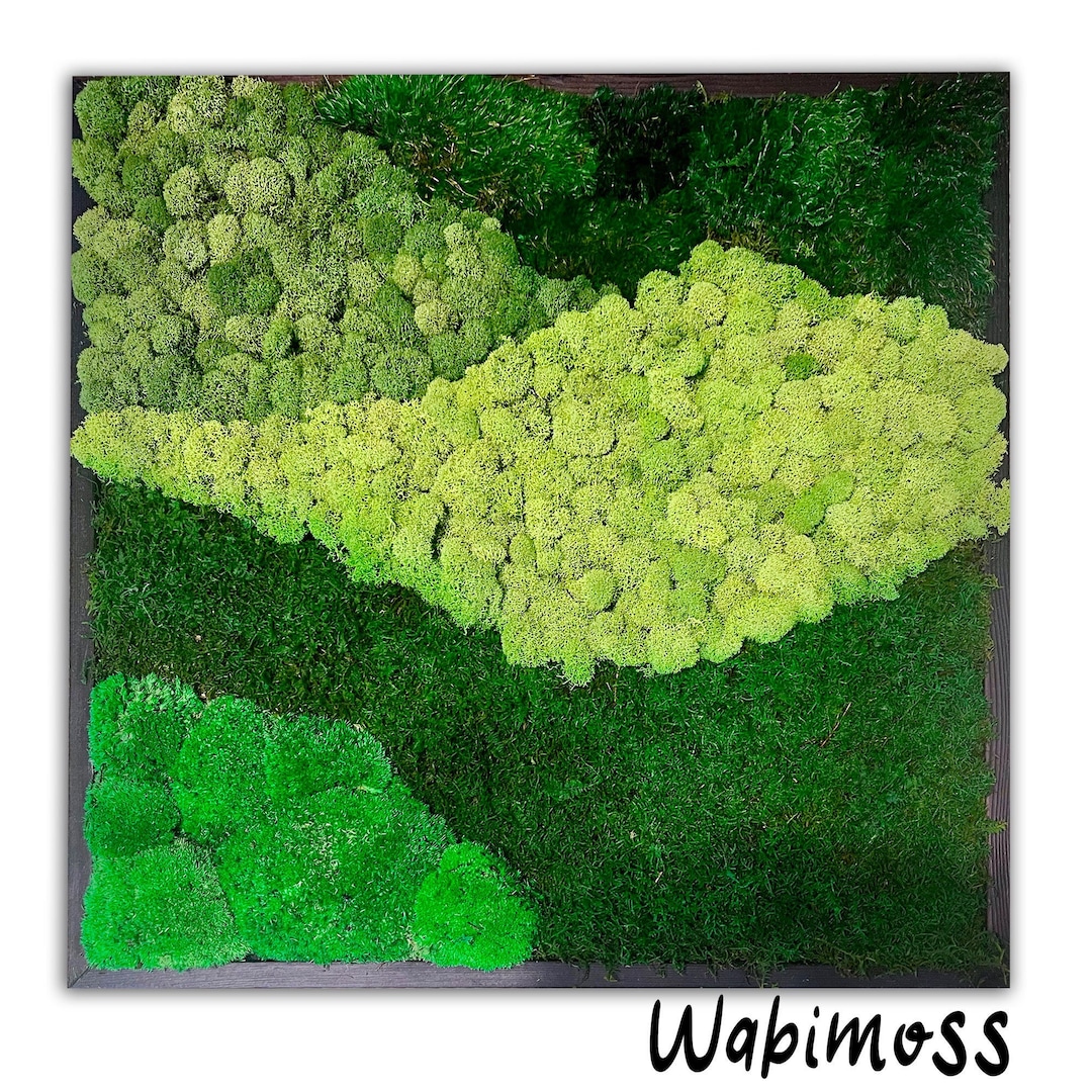 Modern Wave Design #3 Moss Wall Art. Real Preserved Zero-care Green Wall. Real Preserved Moss ...