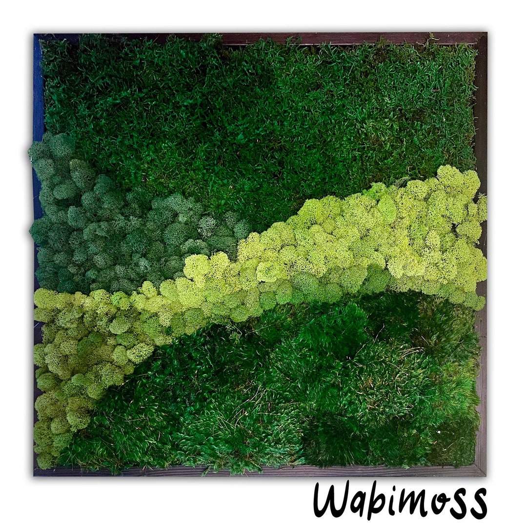 Modern Wave Moss Wall Art. Real Preserved Zero-care Green Wall. Real Preserved Moss. - Etsy