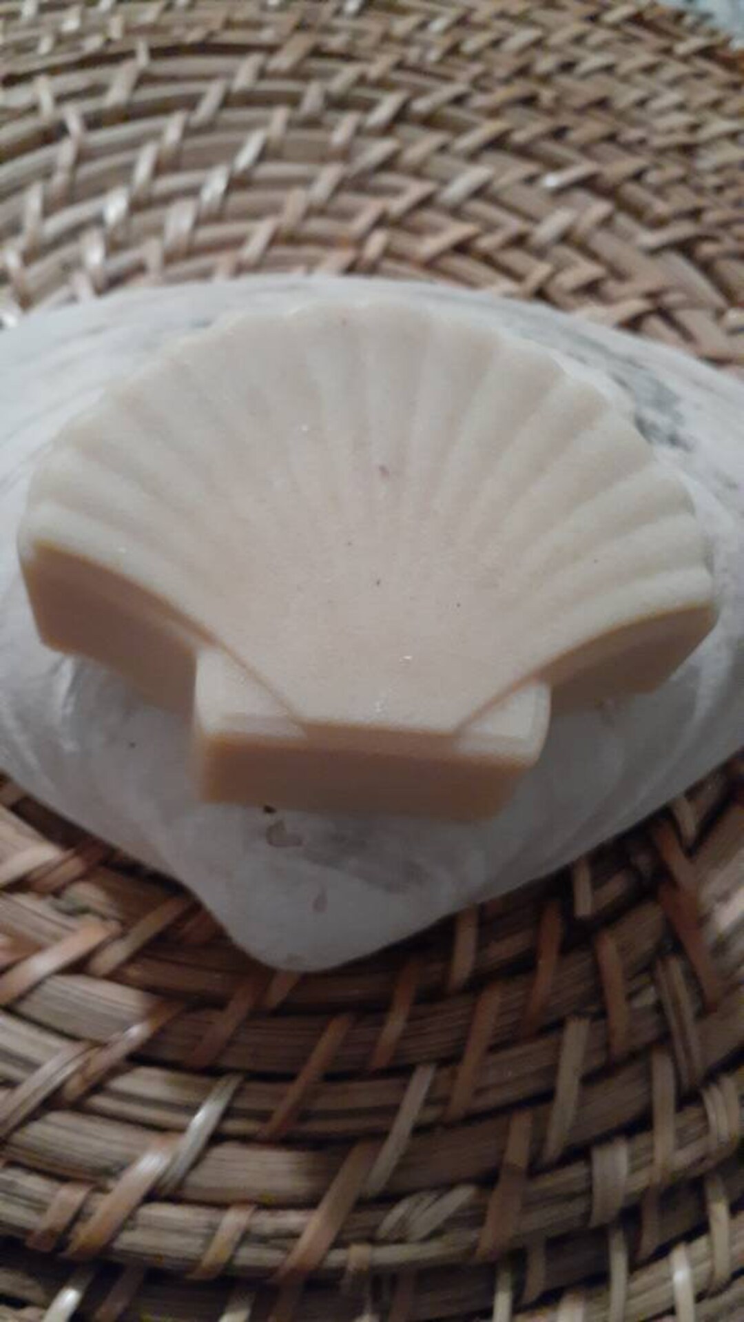 Seashell Cocoa Butter Lotion Bar - Etsy