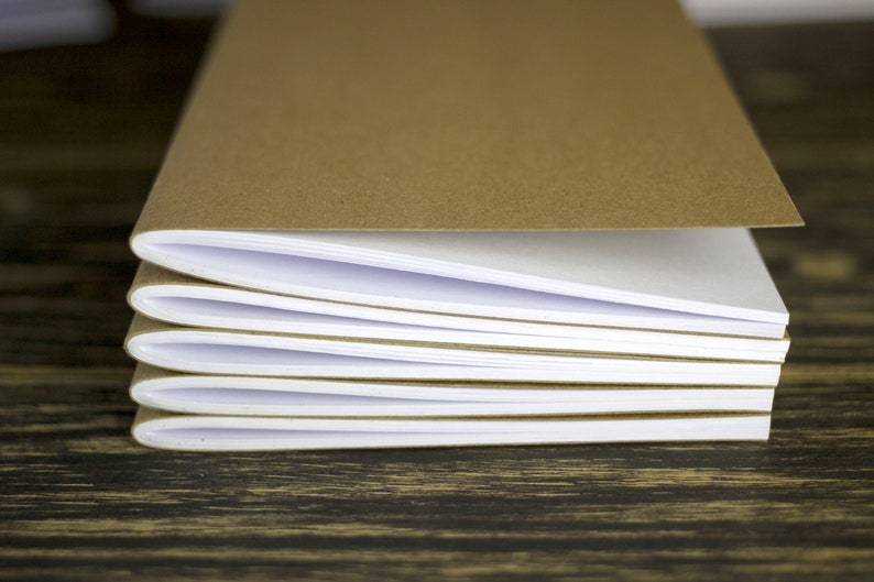 Set of 5 Notebooks / 4.33 X 8.07 Inches / Blank Pages / Kraft - Etsy