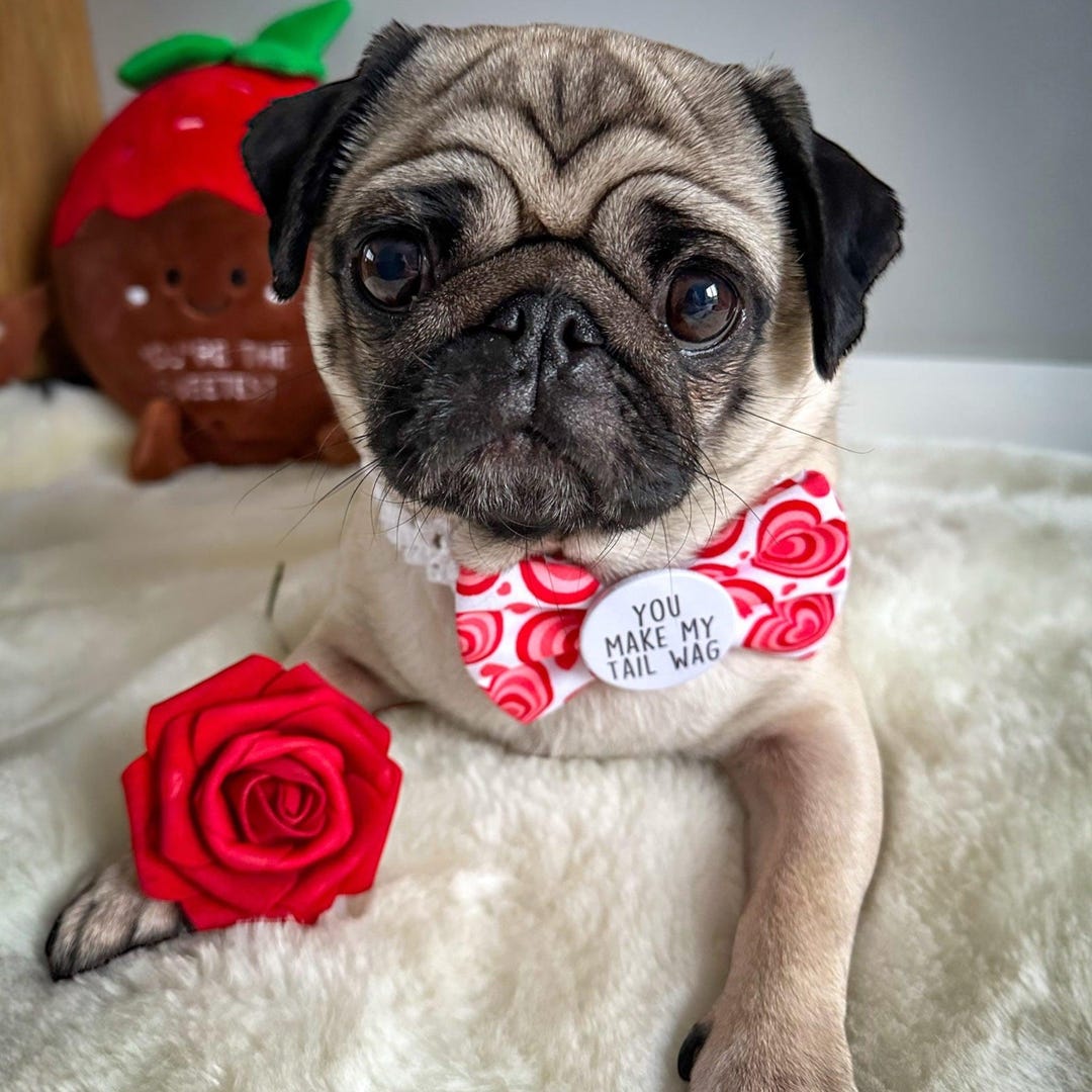 You Make My Tail Wag Badge Bow® Valentine's Dog Bow Tie Love Dog ...
