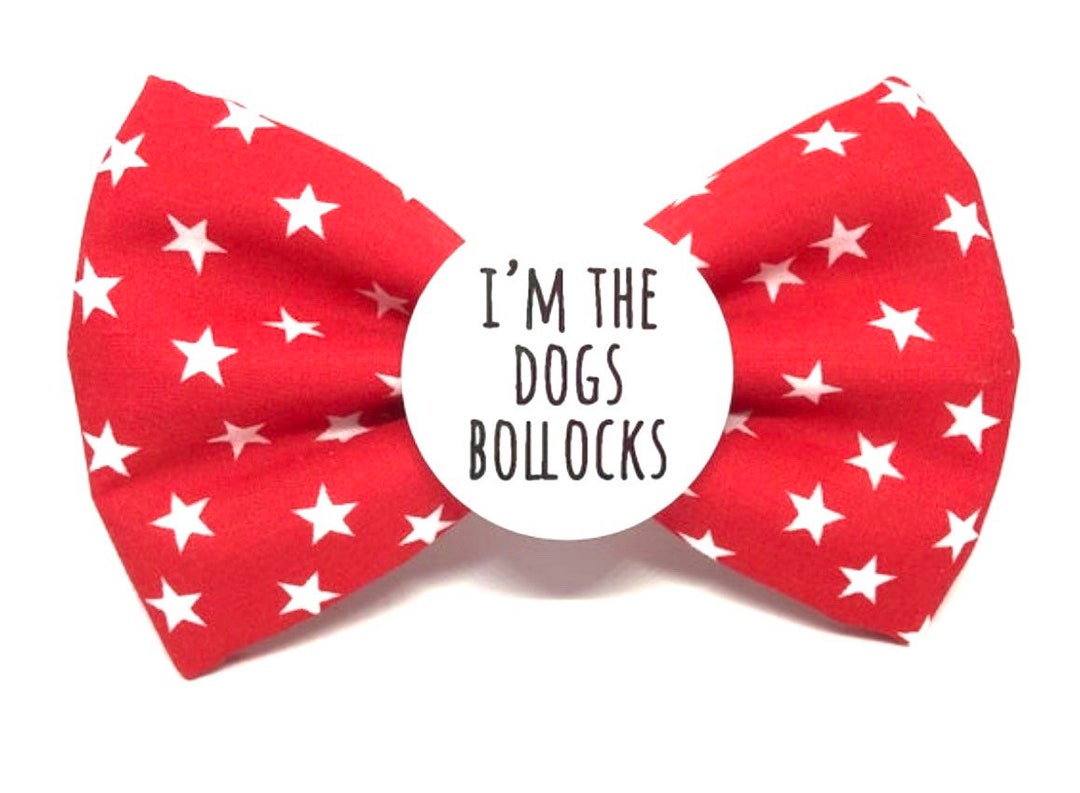 I'm the Dog's Bollocks Badge Bow® – Fun & Bold Dog-themed Badge Reel ...