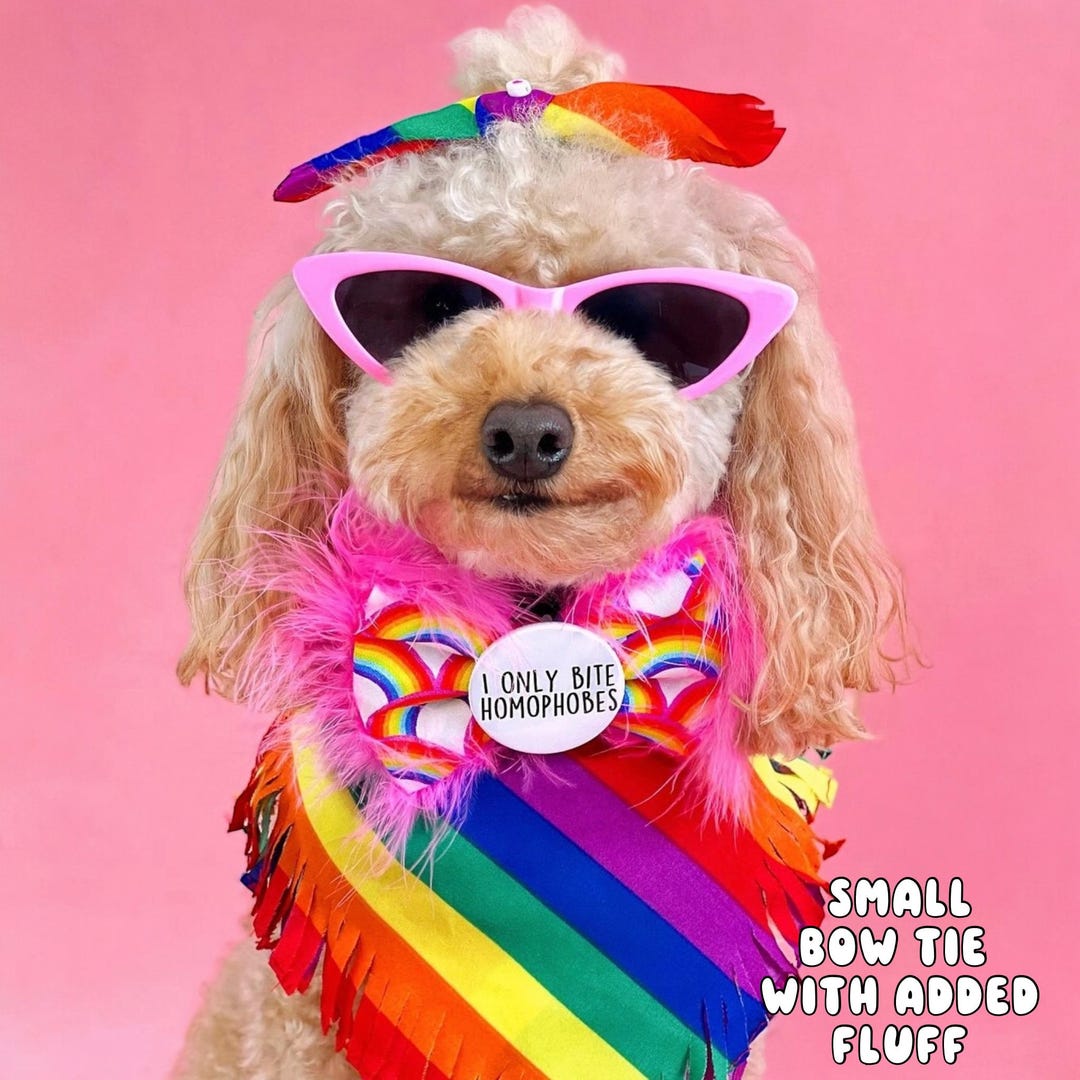 I Only Bite Homophobes Badge Bow® - Funny Dog Bow Tie - LGBTQ Dog Bow ...