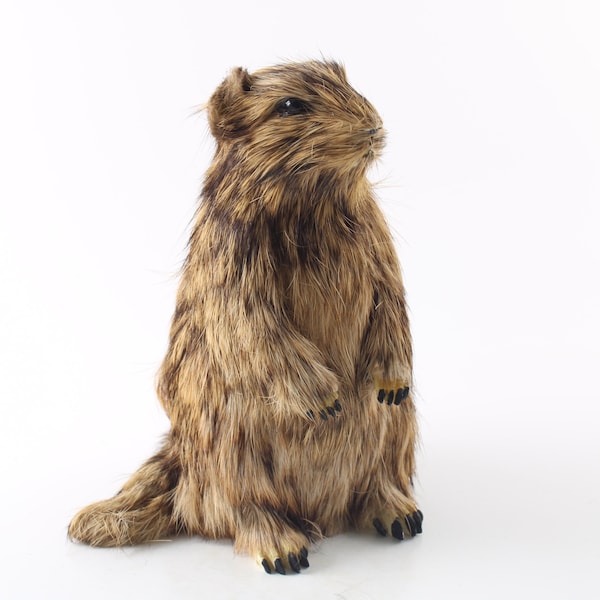 Realistic Dog Statue - Etsy