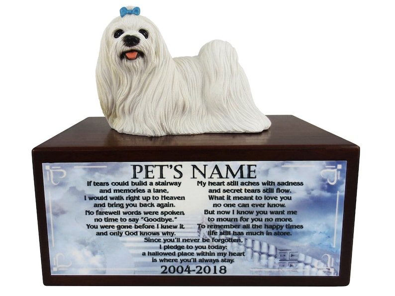 Maltese Beautiful Paulownia Wood Small Personalized Pet Urns With ...