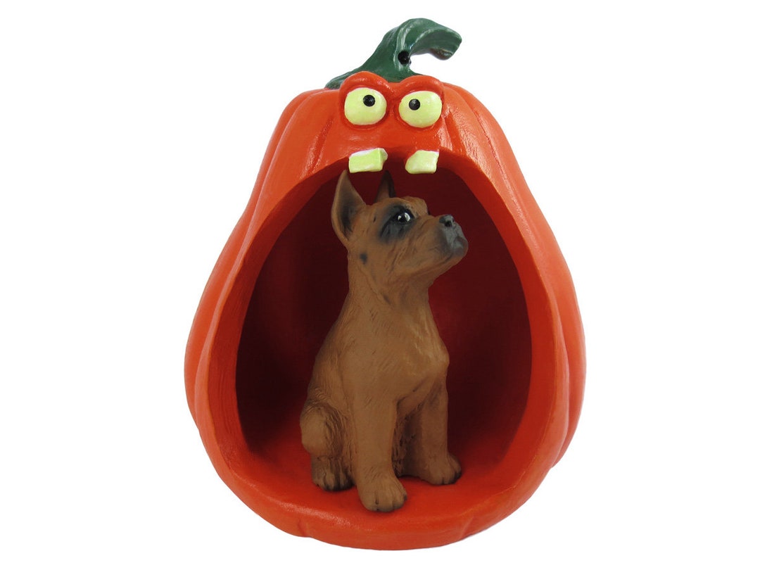 Halloween Decoration Collection With Spooky Pumpkin and Boxer, Tawny ...