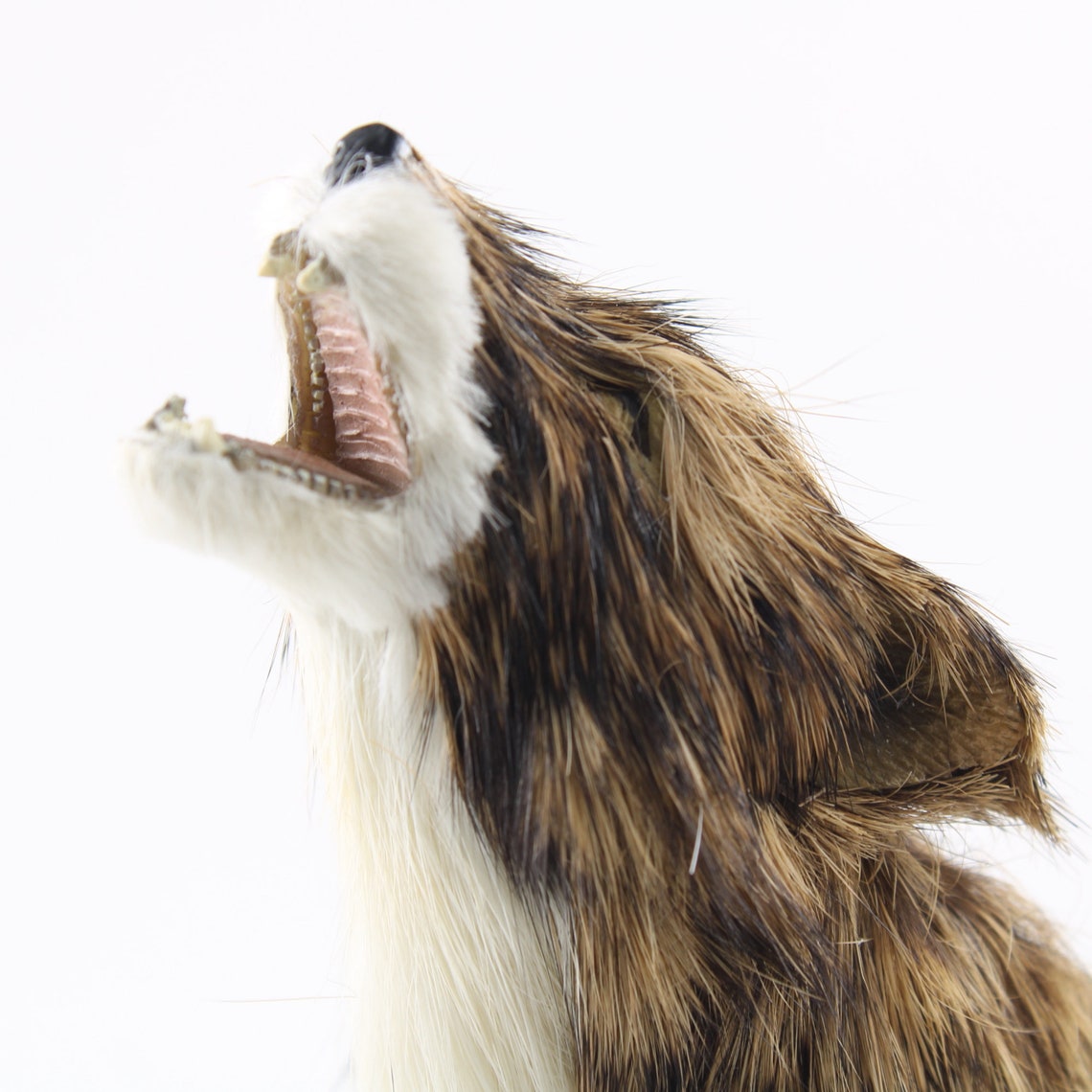 Coyote Realistic Fur Figurine - Etsy