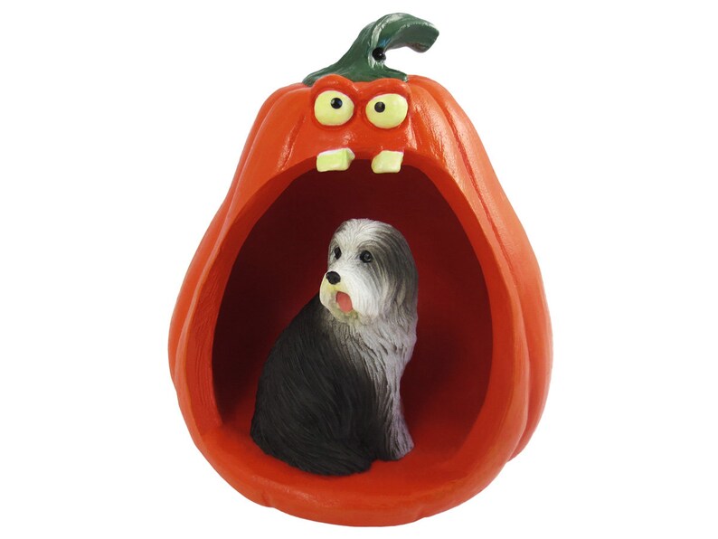 Halloween Decoration Collection With Spooky Pumpkin and Bearded Collie ...