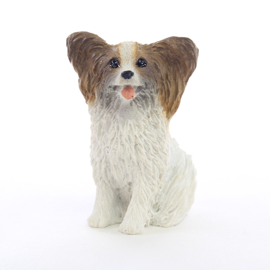 Papillon, Brown & White Tiny One Collection - Etsy