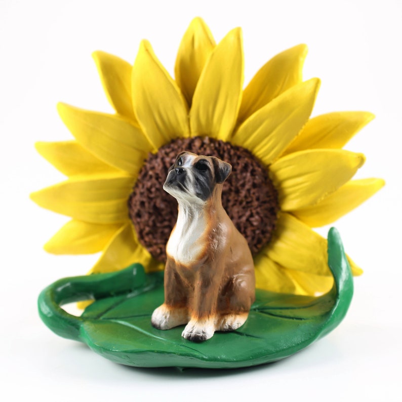 Boxer, Uncropped Tiny One Collection - Etsy