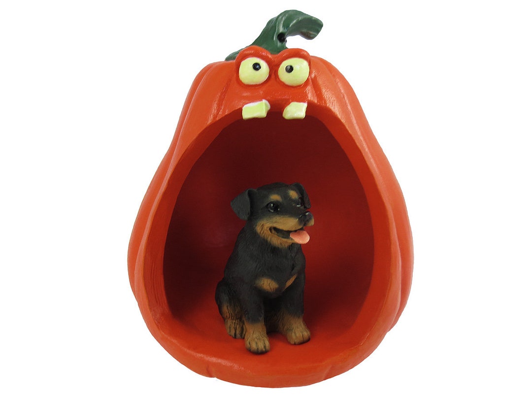 Halloween Decoration Collection With Spooky Pumpkin and Rottweiler ...
