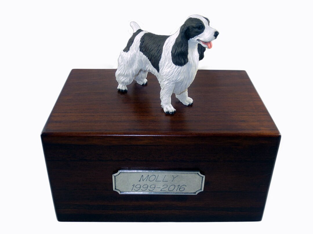 Springer Spaniel, Liver & White Beautiful Paulownia Wood Medium ...