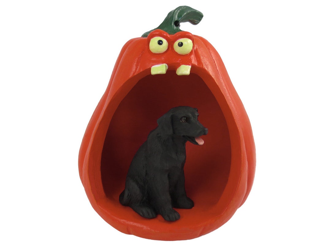 Halloween Decoration Collection With Spooky Pumpkin and Labrador ...