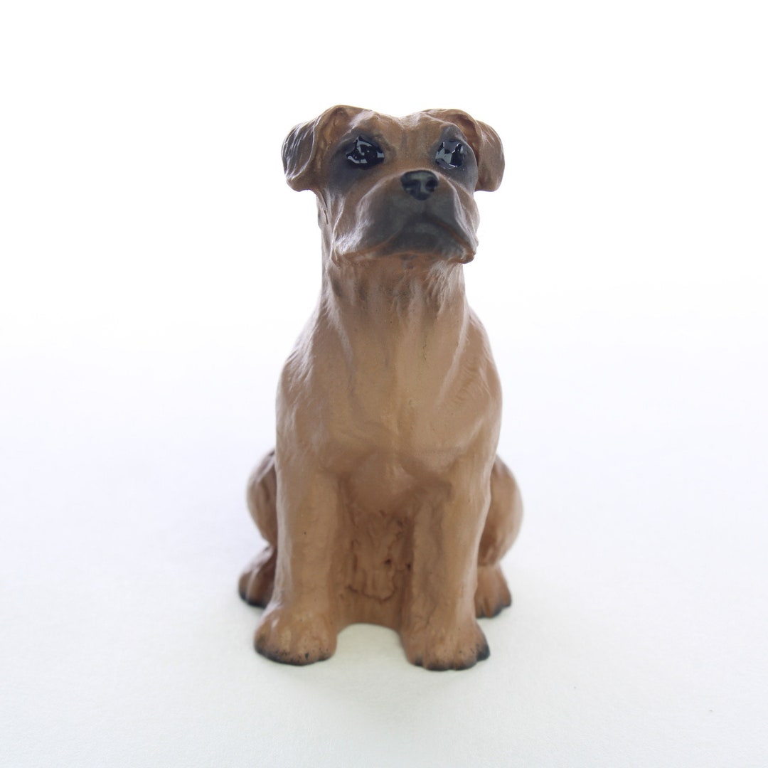 Boxer, Tawny Uncropped Tiny One Collection - Etsy
