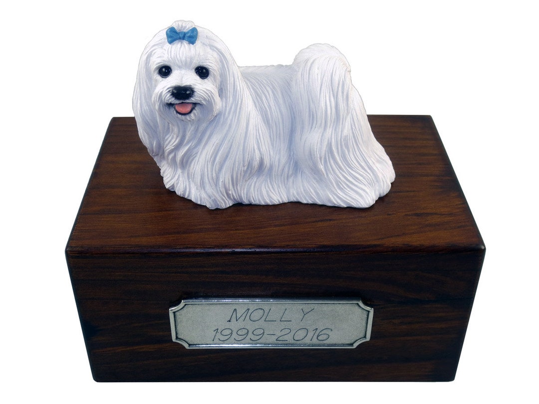 Maltese Beautiful Paulownia Wood Small Personalized Pet Urns With ...