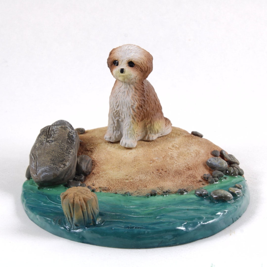 Shih Tzu, Tan Sport Cut Everyday Life Collection - Etsy