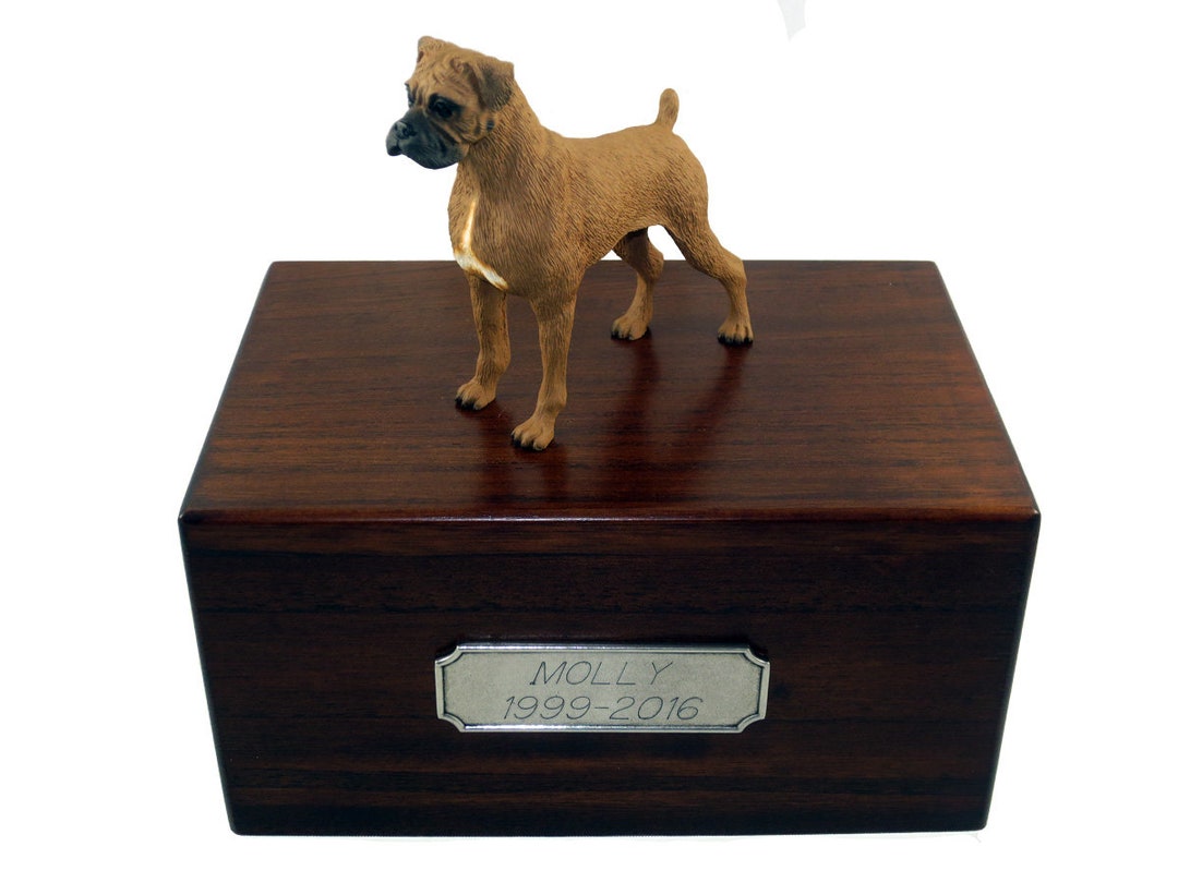 Boxer, Tawny Uncropped Beautiful Paulownia Wood Medium Personalized Pet ...