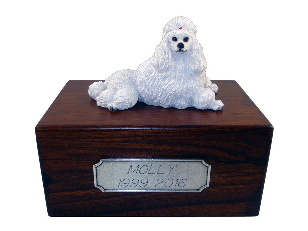 Poodle, White Beautiful Paulownia Small Personalized Wooden Pet Urns - Etsy