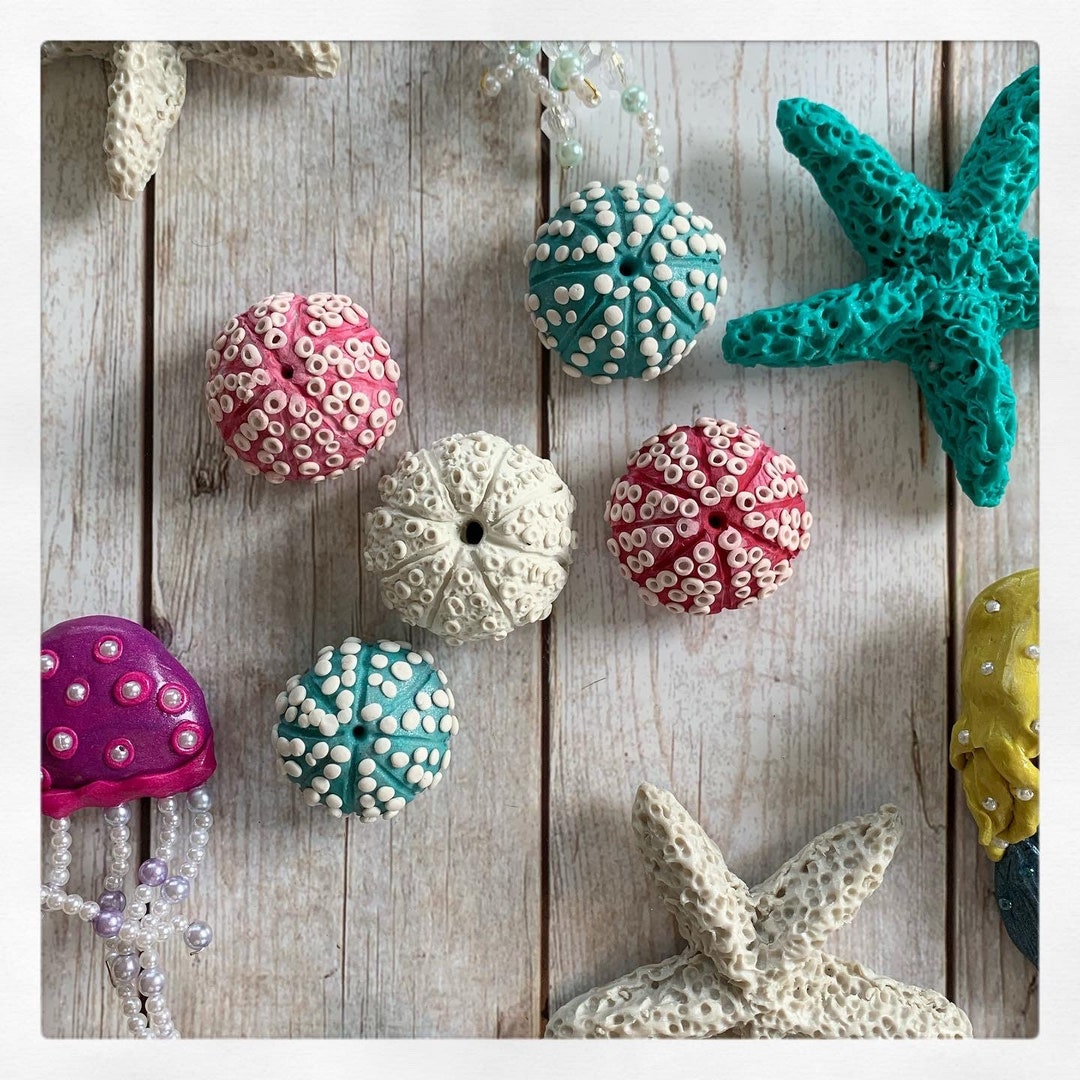 Coastal Sea Urchin Magnets, Sea Urchins Refrigerator Magnets, Beach ...
