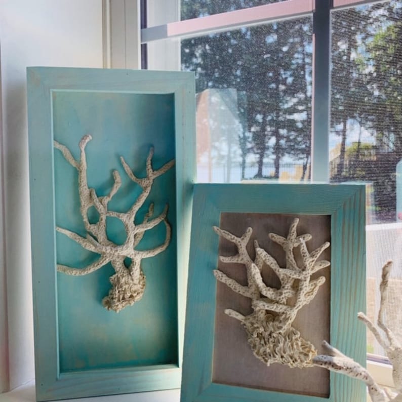 Single Vertical Framed Coral Reef Display, Coastal Decor, Clay Coral ...