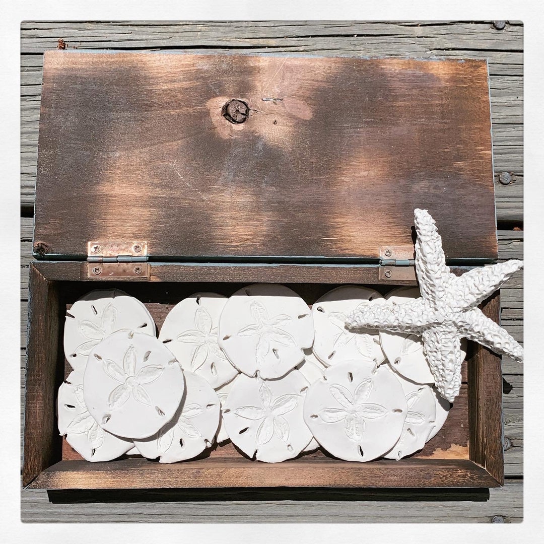 Sand Dollar, Medium Sand Dollars, Sand Dollars, Beach Decor, Craft ...
