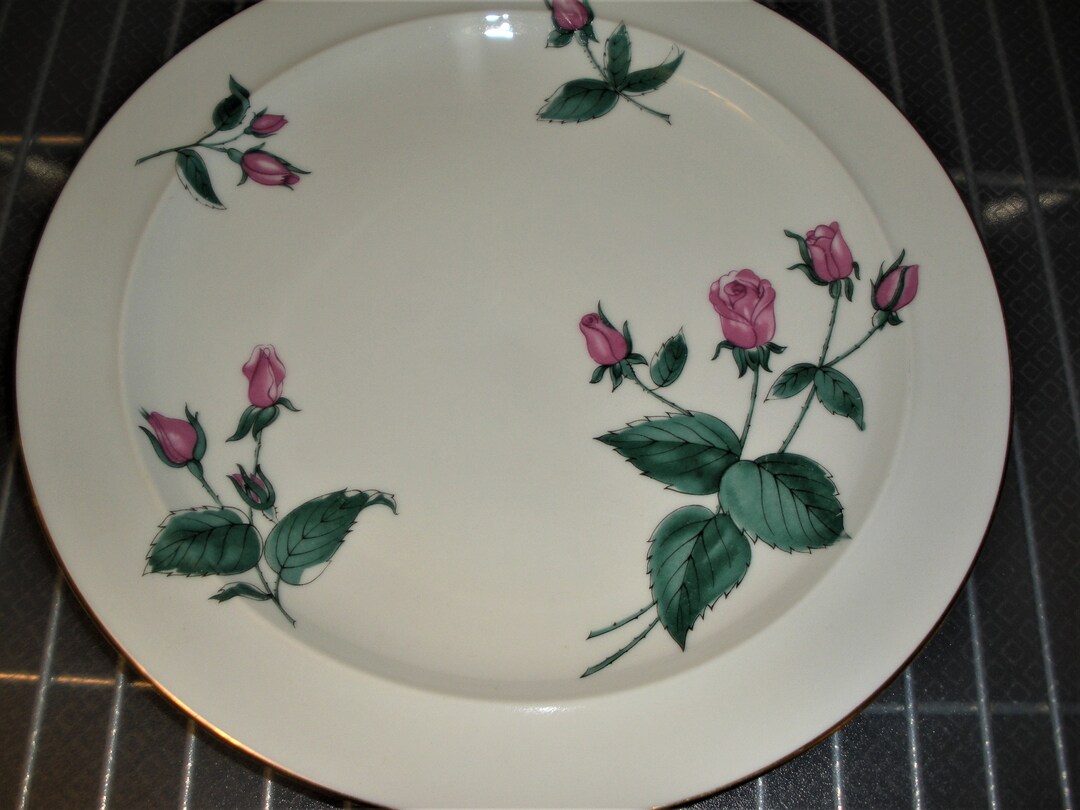 Vintage Dinner Plates With Pink Roses Easterling Radiance China Dishes ...