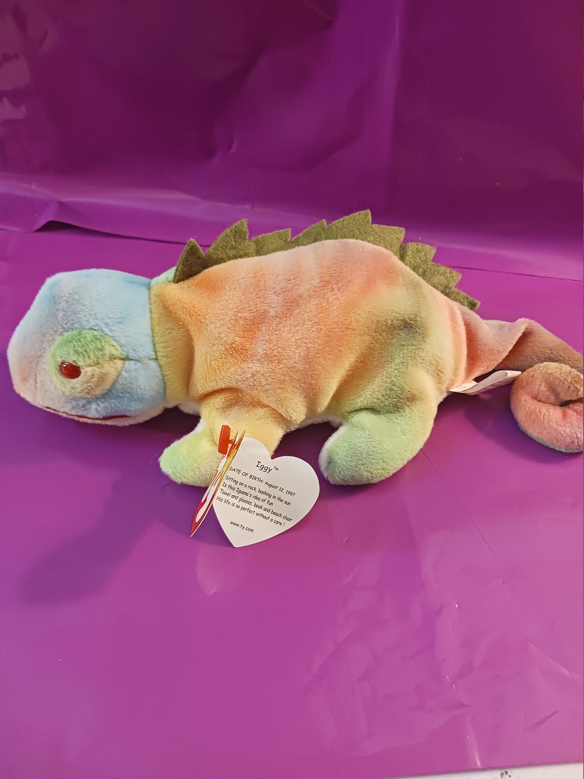 Ty Beanie Babies Iggy the Tye Dye Iguana With Green Spikes - Etsy