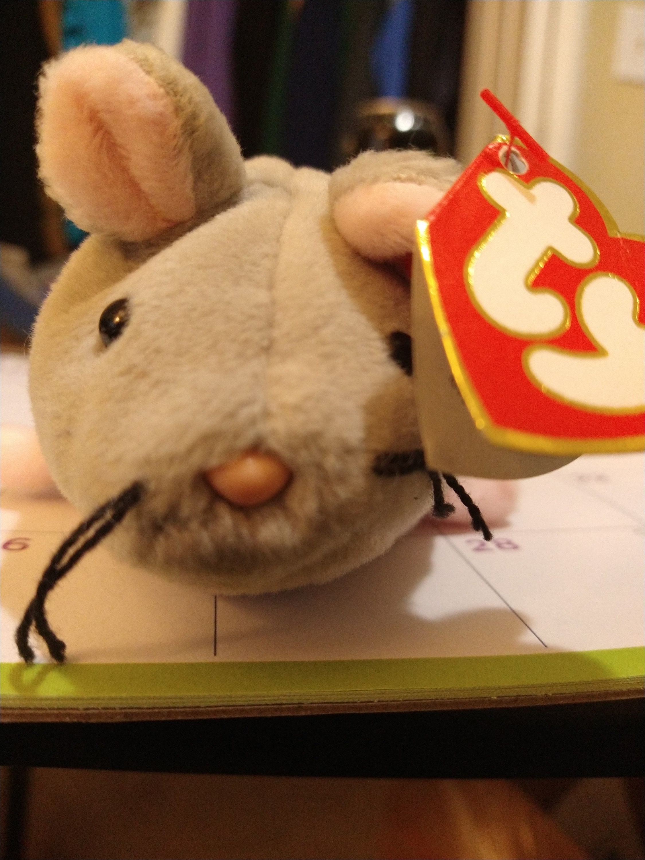 Ty Beanie Babies TRAP THE Gray Mouse Extremely Rare Mint Tags Comes in Protective Acrylic Display Case Etsy UK
