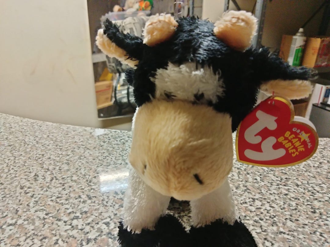Ty Beanie Babies Moosly the Black and White Cow Brand New, Mwmts - Etsy