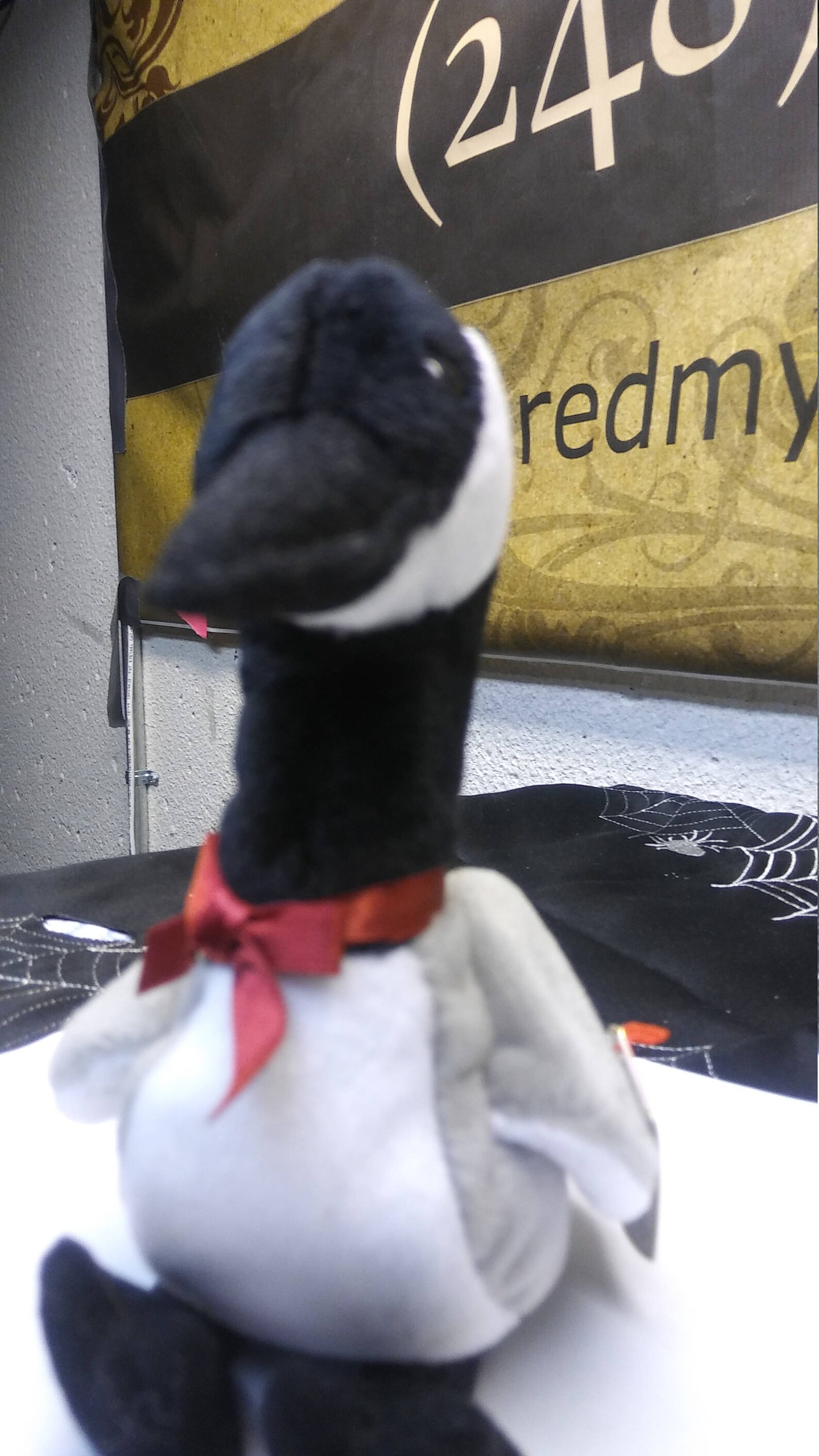 Ty Beanie Babies Loosy the Goose - Etsy