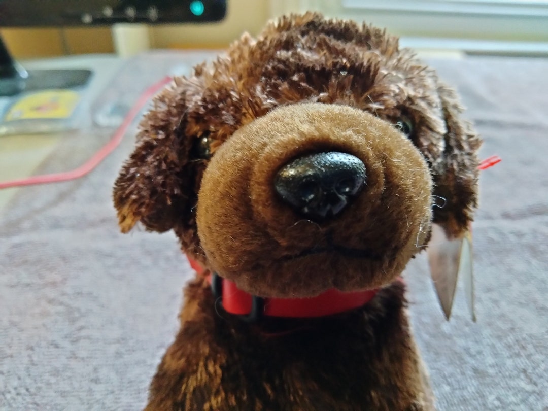 Ty Beanie Babies Muddy the Plushy Brown Dog/red Collar, MWMTS, World ...