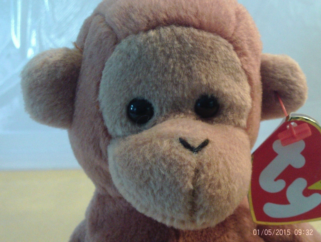TY Beanie Babies Bongo the Brown Monkey No Stamp in Tush Tag,pvc, RARE ...