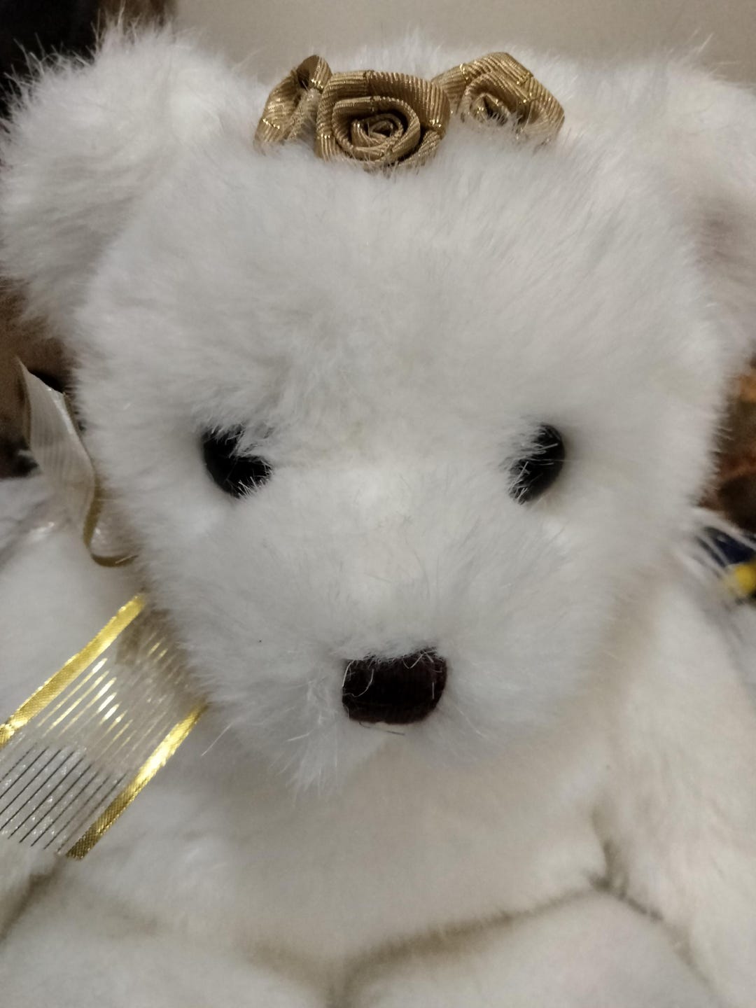 Ty Beanie Classics DIVINE the Angel Bear With Soft Wings no Hang Tag ...